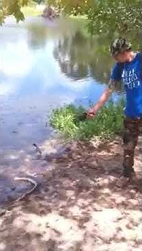 Taurus judge snake demolish - YouTube