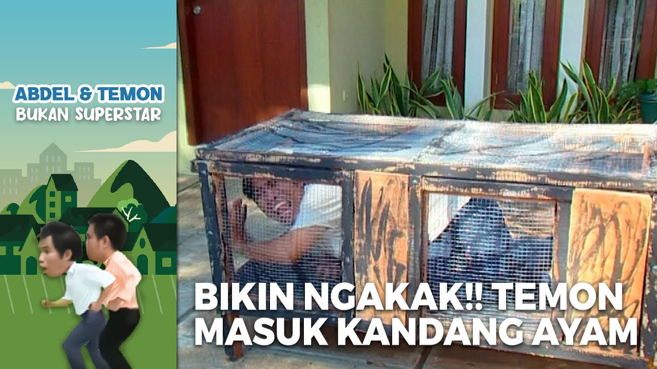 BIKIN NGAKAK!! Temon Dimasukin Kandang Ayam Sama Abdel | ABDEL TEMON ...
