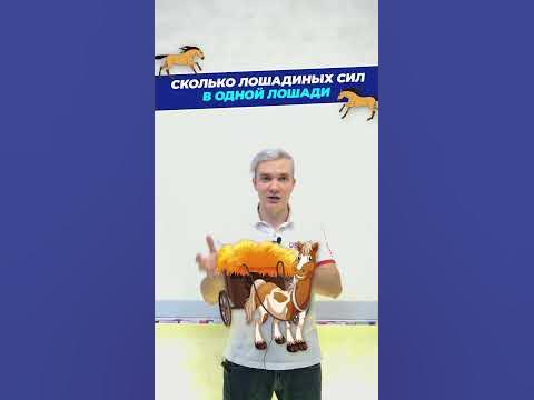 Сколько лошадиных сил в одной лошади? - YouTube