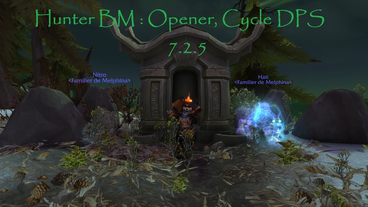 Guide hunter BM 7.2.5 partie 3 : Cycle DPS - YouTube