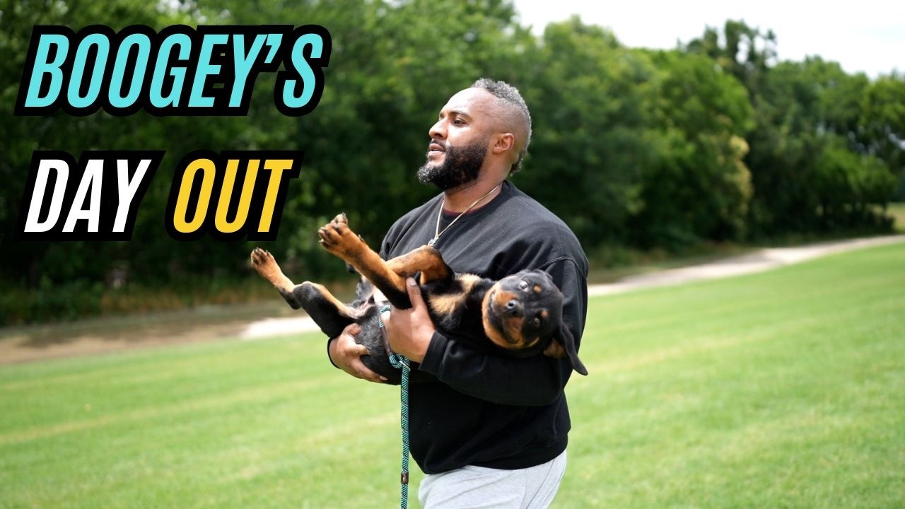 Boogey's Day Out (First Adventure) - YouTube