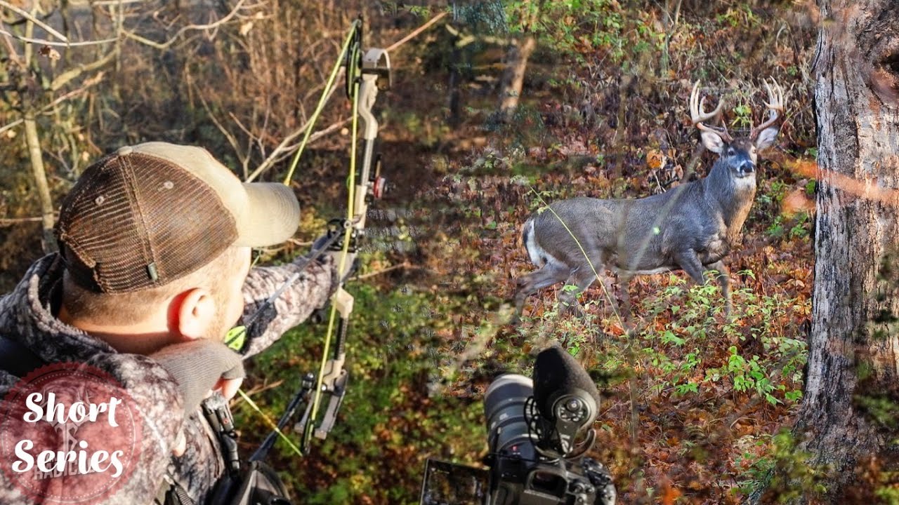 HUGE Buck Fight - Crazy Rut Morning Bow Hunt with Tag Punched - YouTube