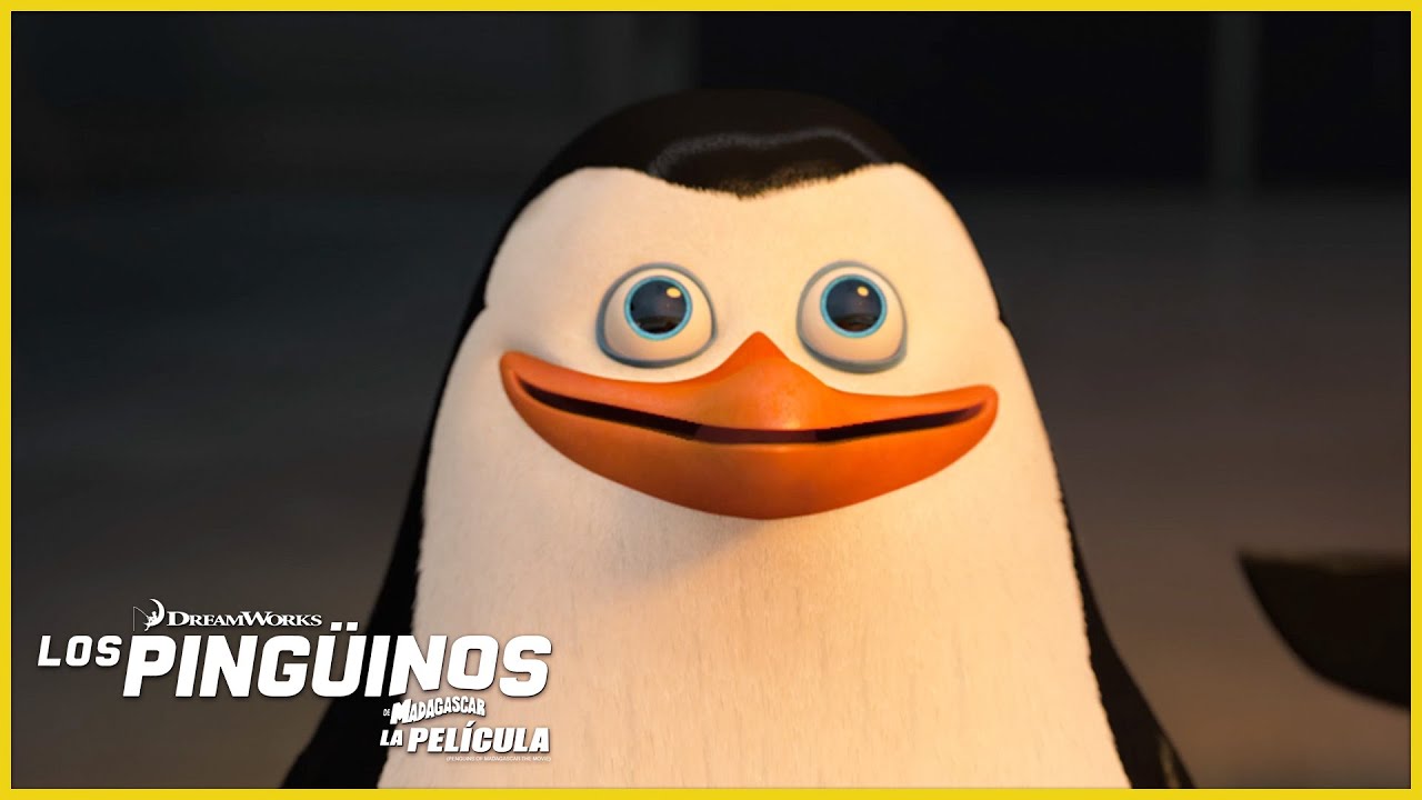 Cabo es la carnada | DreamWorks Madagascar en Español Latino - YouTube