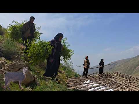 Şebekeden Bağımsız Göçebe Kadın Yaşam Tarzı | Uzak Dağlık Bölgelerde Ahşap Ev İnşa Etmek 🏔🛖