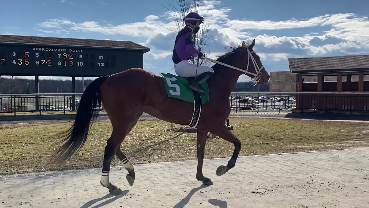 Baringer Spring gives owner Ten Strike Racing a multiple win day - YouTube