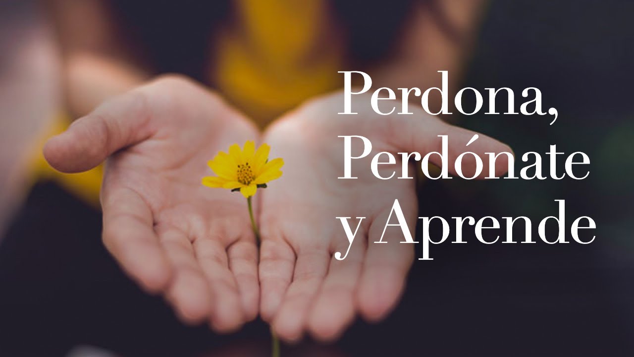 Perdona, perdónate y aprende - YouTube