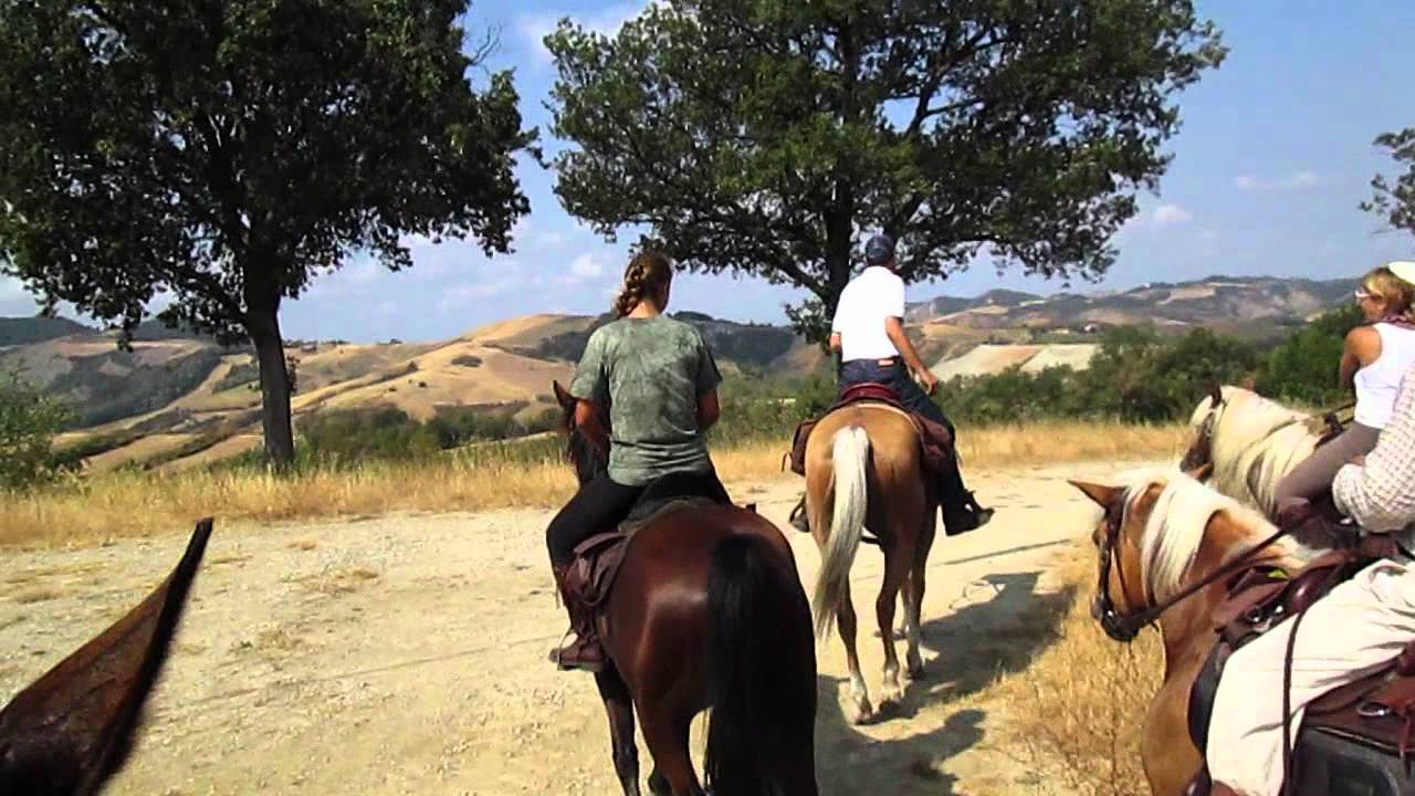 A cavallo sulle colline tra Casalecchio dei Conti e Varignana... - YouTube
