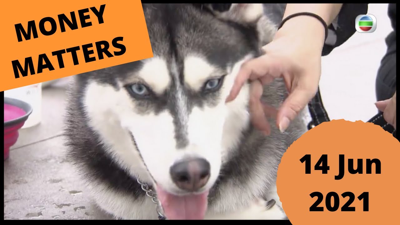 Dollars & Dogs | Money Matters 14 Jun 2021 | Hong Kong Financial News ...