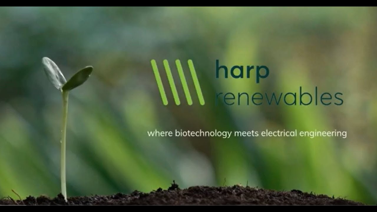 Harp Renewables Biodigesters: Sustainable Food Waste Solutions - Zero ...