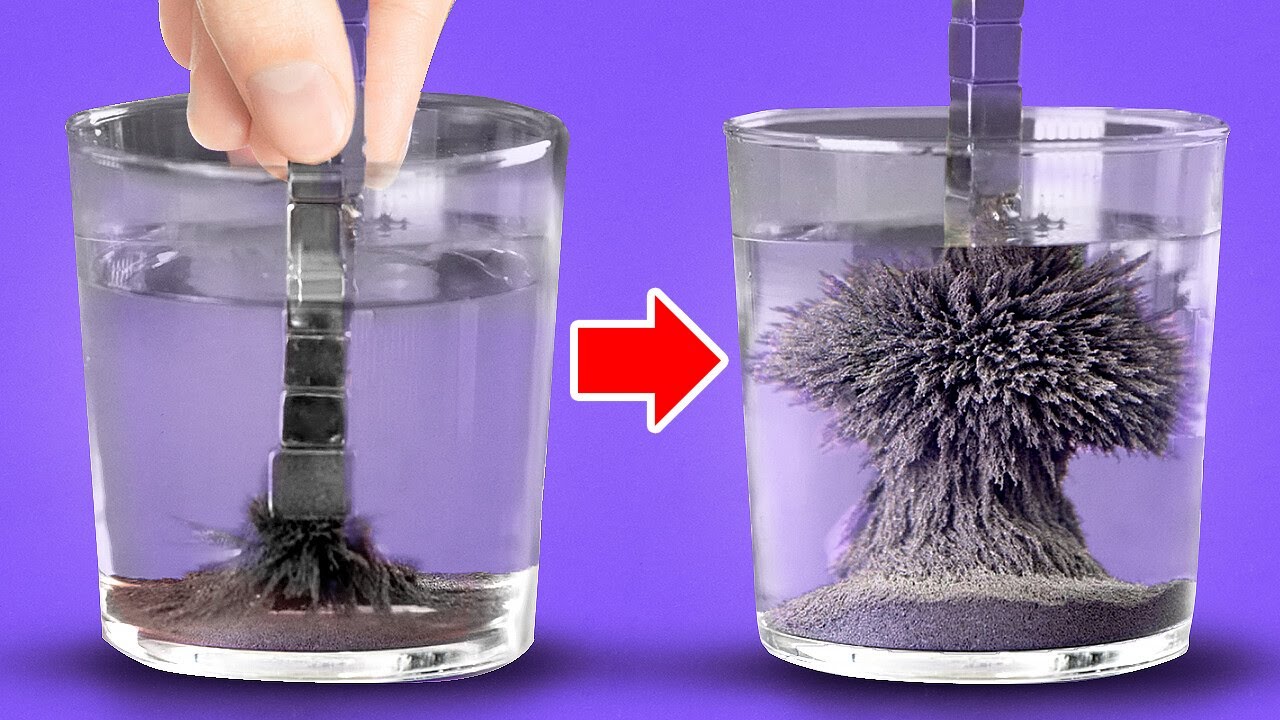 The Science of Surprises: Unveiling Fascinating Experiments - YouTube