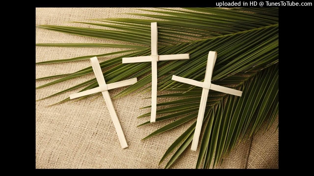 230402-spnt-matthew-21-1-11-rev-david-spence-youtube