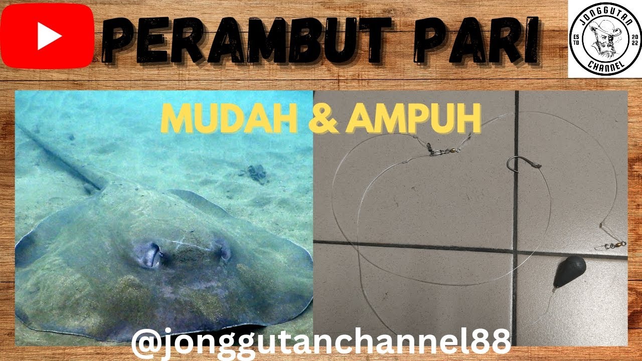 Tutorial Perambut Pari | Mancing Pantai | Mudah & Ampuh - YouTube