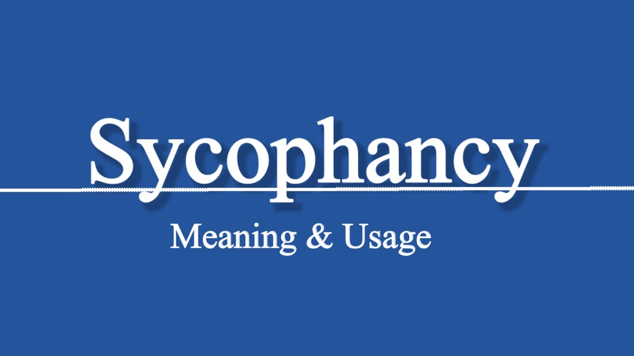 Sycophancy |Meaning|Usage #vocabulary #punjabitoenglishlearning #words ...