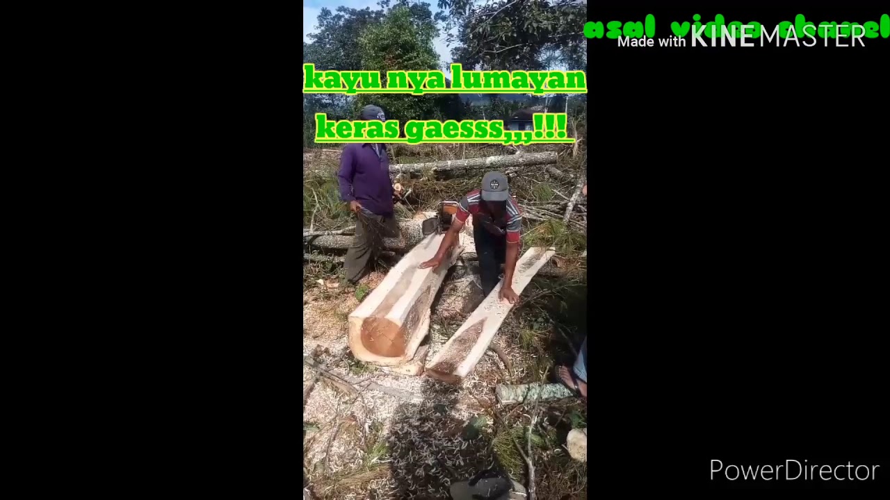 Pengolahan kayu dengan menggunakan mesin chainsaw sthill 070 - YouTube