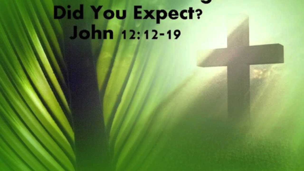 Palm Sunday 2015 What kind of king did you expect? John 12:12-19 - YouTube