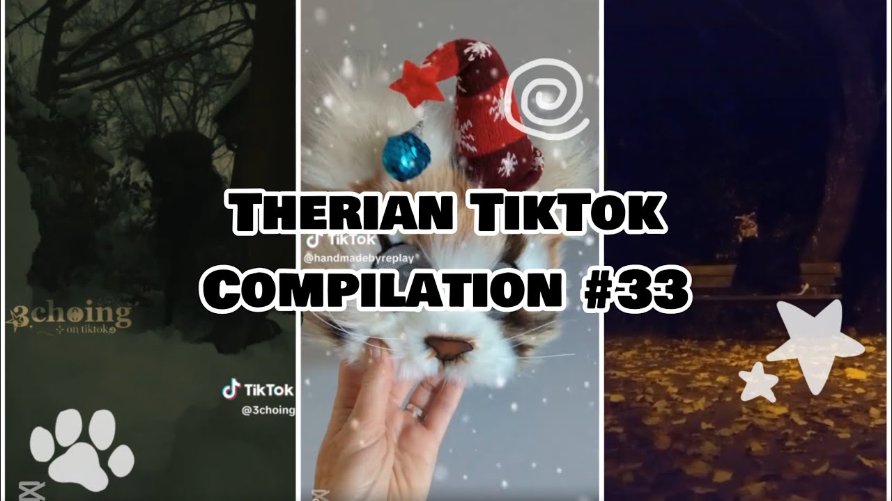 Therian TikTok Compilation #33 - YouTube