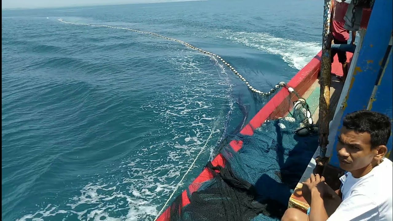 Catching skipjack/tuna using trawl nets/fish traps - YouTube