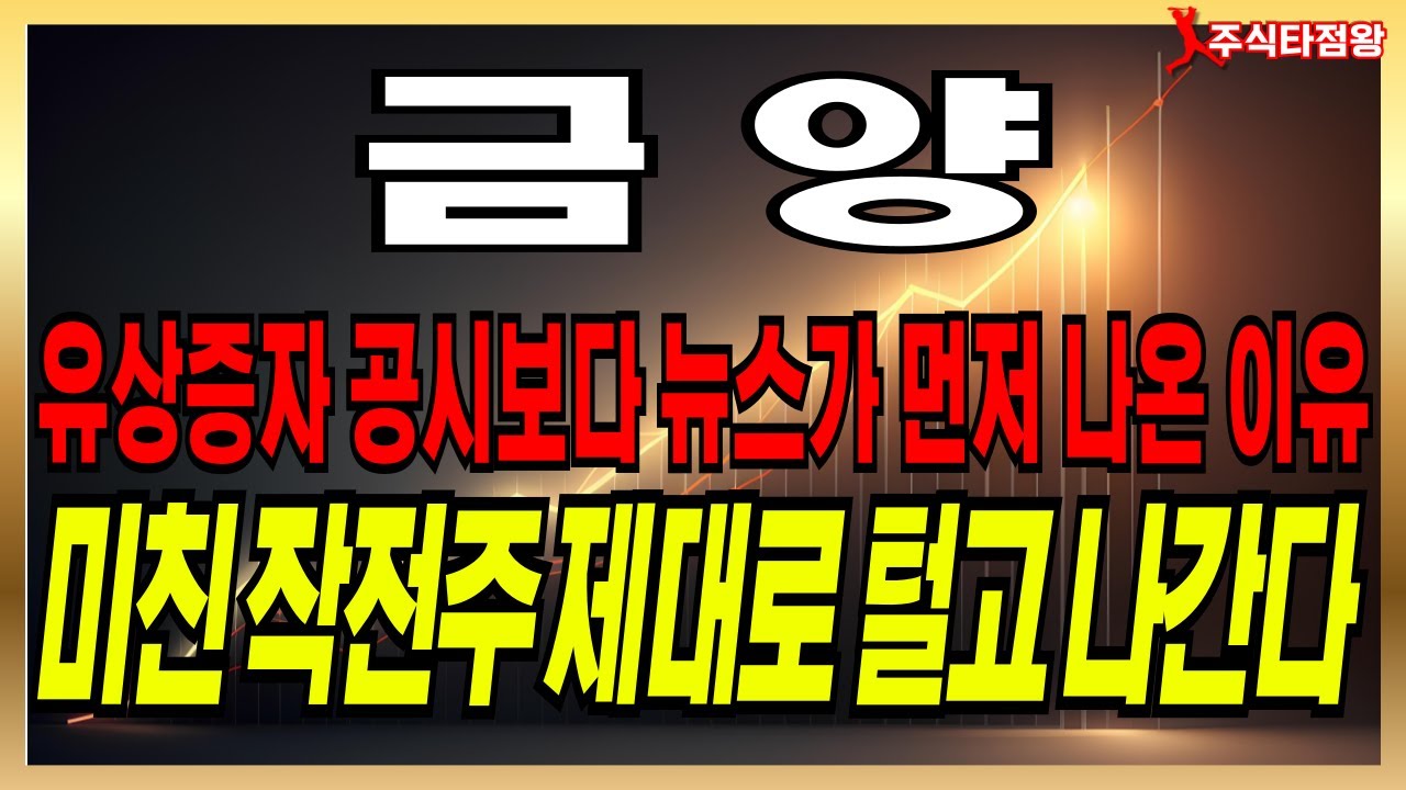 금양 주가분석 긴급속보 이번 유상증자 충격적인 목표가 금양 금양주가전망 금양대응전략 금양주식 금양주식전망