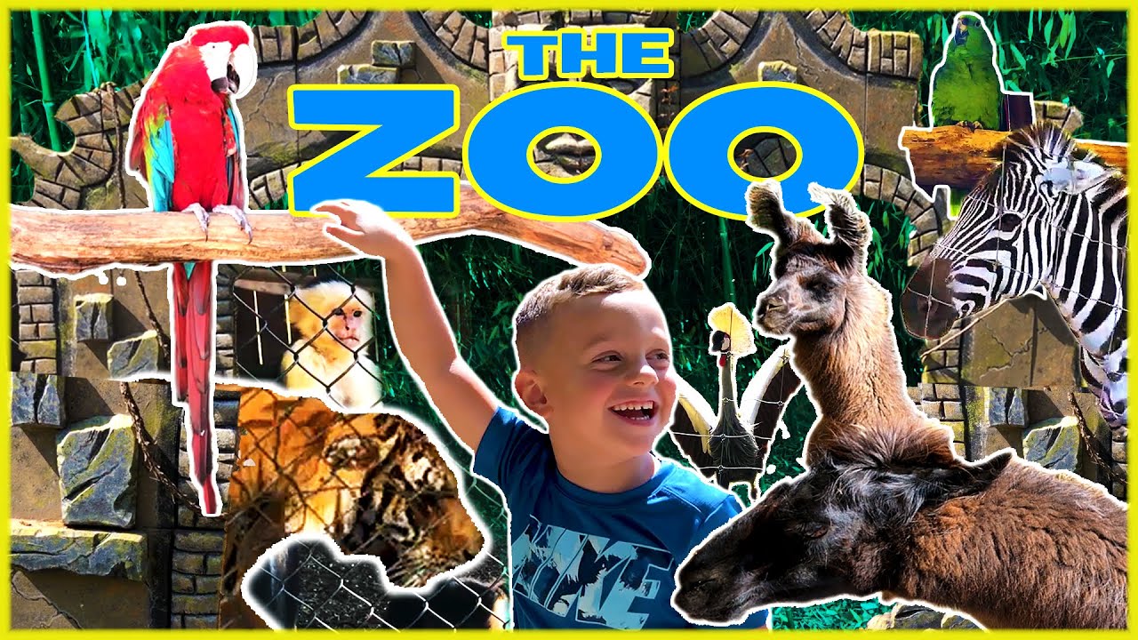 Zoo Safari for Kids | Fun Zoo Animals for Kids - YouTube