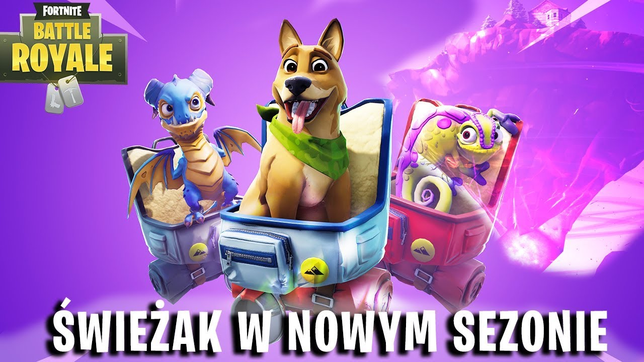 ŚWIEŻAK W NOWYM SEZONIE! PSY W FORTNITE: BATTLE ROYALE! 🐶 - YouTube