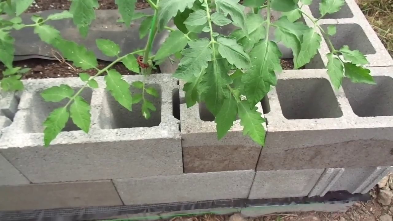 SIP Planter Build - High Productivity, Low Maintenance - YouTube