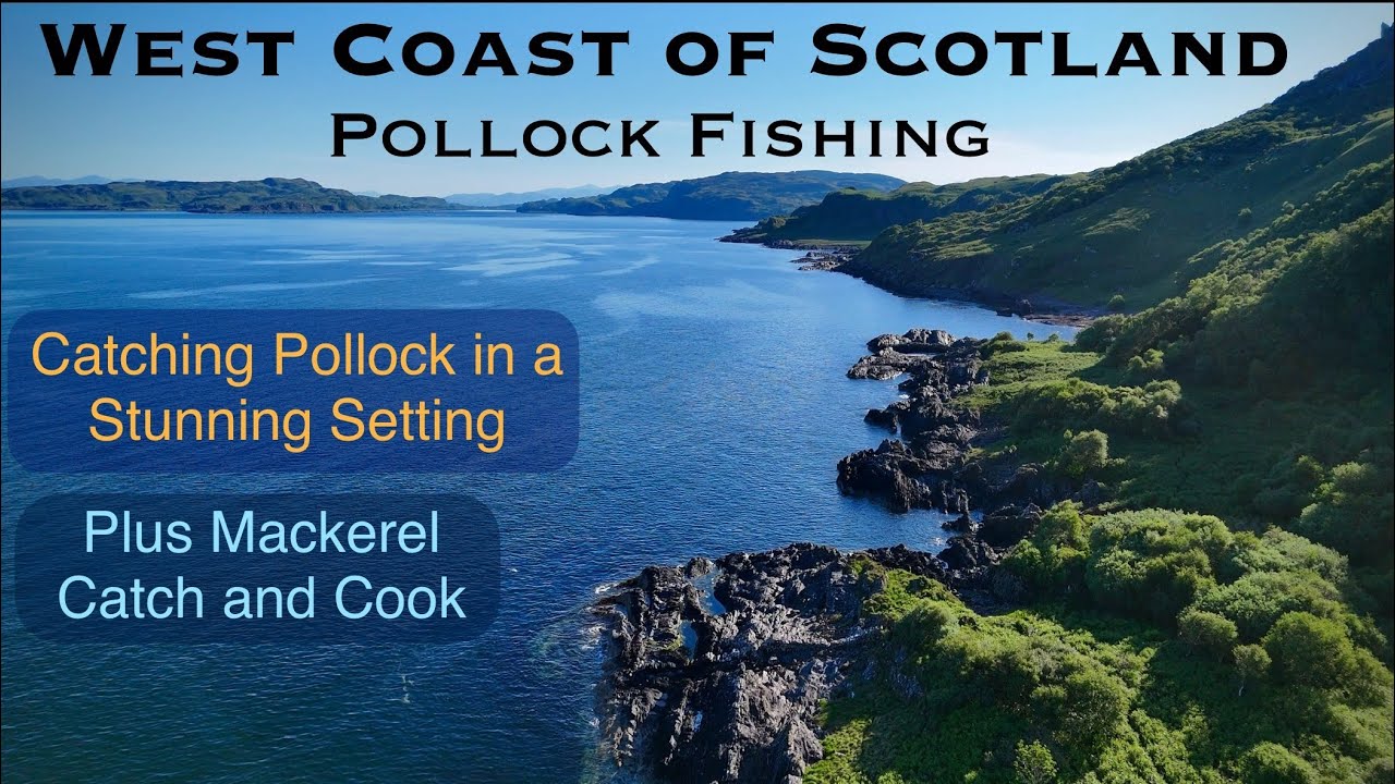 Sea Fishing Scotland - West Coast Pollock on Lures + Mackerel Catch ...