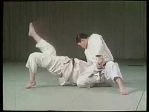 SEKIGUCHI SHINSHIN RYU | JUJUTSU KATA - YouTube