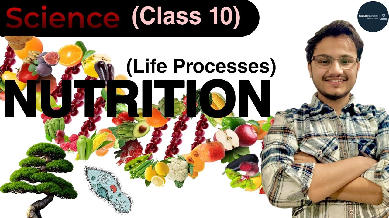 Life Processes Science Class 10 🔥 जैव प्रक्रम Chapter 6 Nutrition