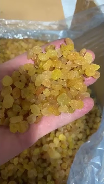 ТД Асаль Ко - Как выглядит поставляемая нами продукция. Изюм Голден ...