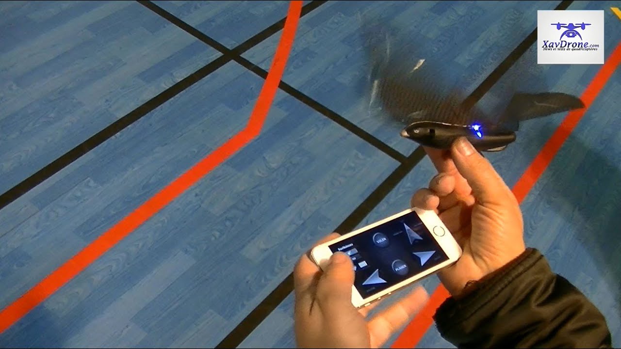 Bionic Bird - YouTube