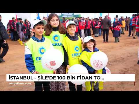 İstanbul - Şile'de 100 bin fidan toprakla buluştu