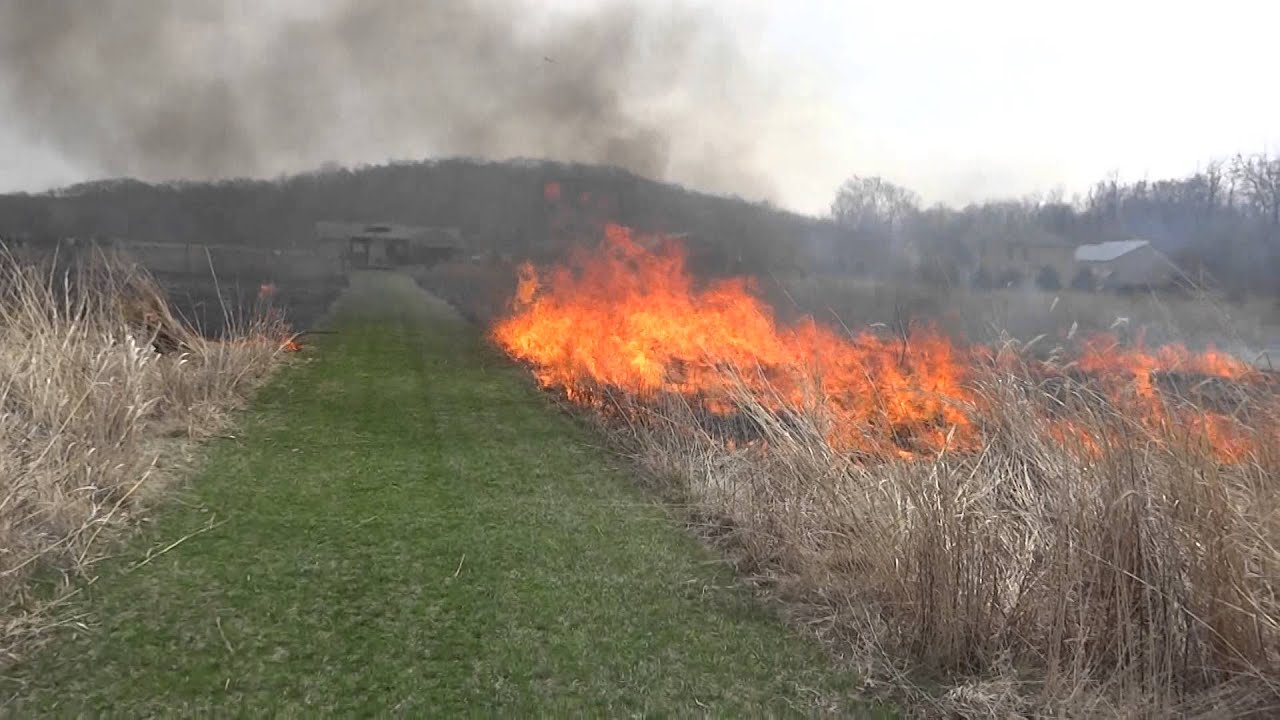 Prairie Grass Burn 1 of 6 - YouTube