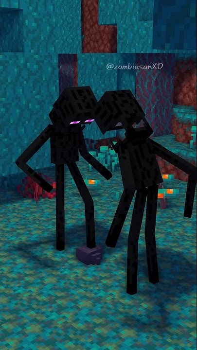 Save Endermite From Enderman Minecraft Animation Shorts Youtube