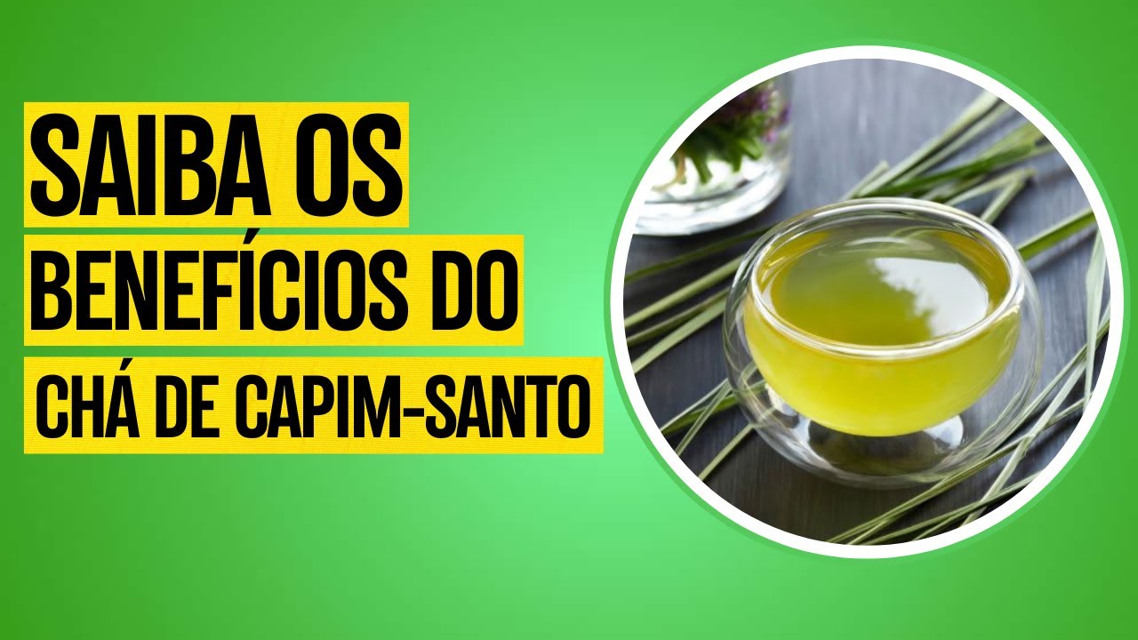 CHÁ DE CAPIM-SANTO: POR QUE É TÃO BOM PARA SUA SAÚDE? DICAS E RECEITAS ...