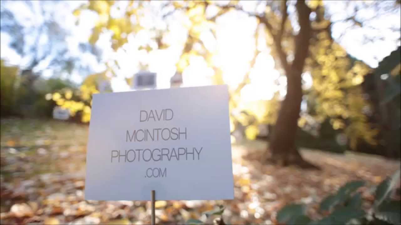 Woodland Portfolio - David McIntosh Photography - YouTube