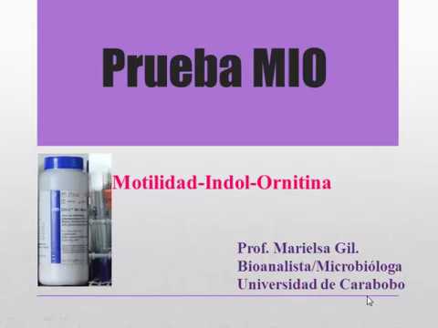 Prueba MIO1 pptx - YouTube