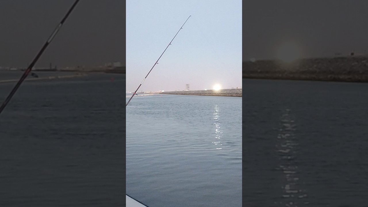 This is how the fish prank a fishermen🤣 - YouTube