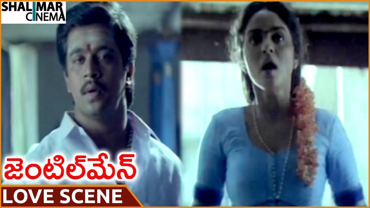 Gentleman Movie || Arjun & Madhoo Cute Love Scene || Arjun, Madhoo ...