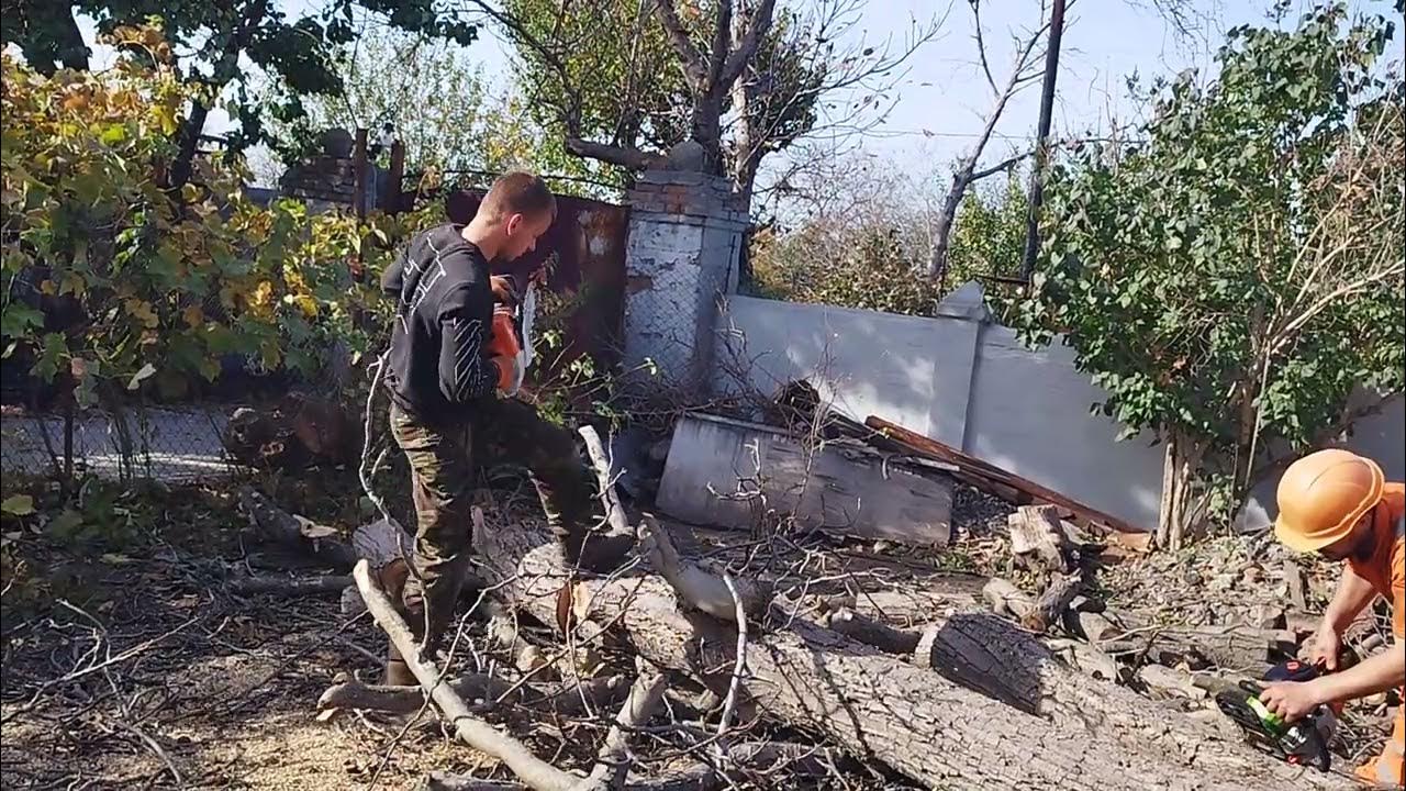 Бензопила штиль 361 против китайца Прокрафт 52 т пилим орех - YouTube