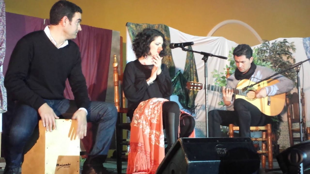 Alejandra Almendro Gala flamenca Asnia 2014 - YouTube