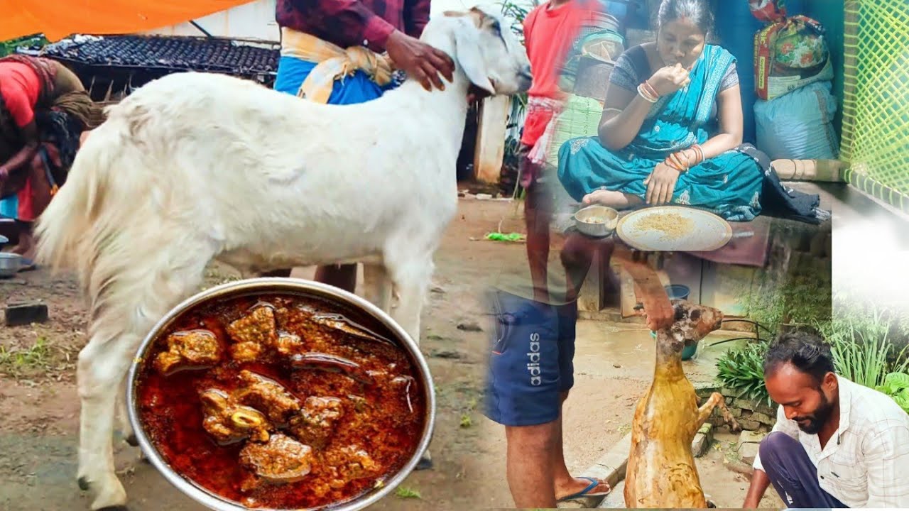 How to clean and cook full goat mutton by tribe people on Nuakhai ...