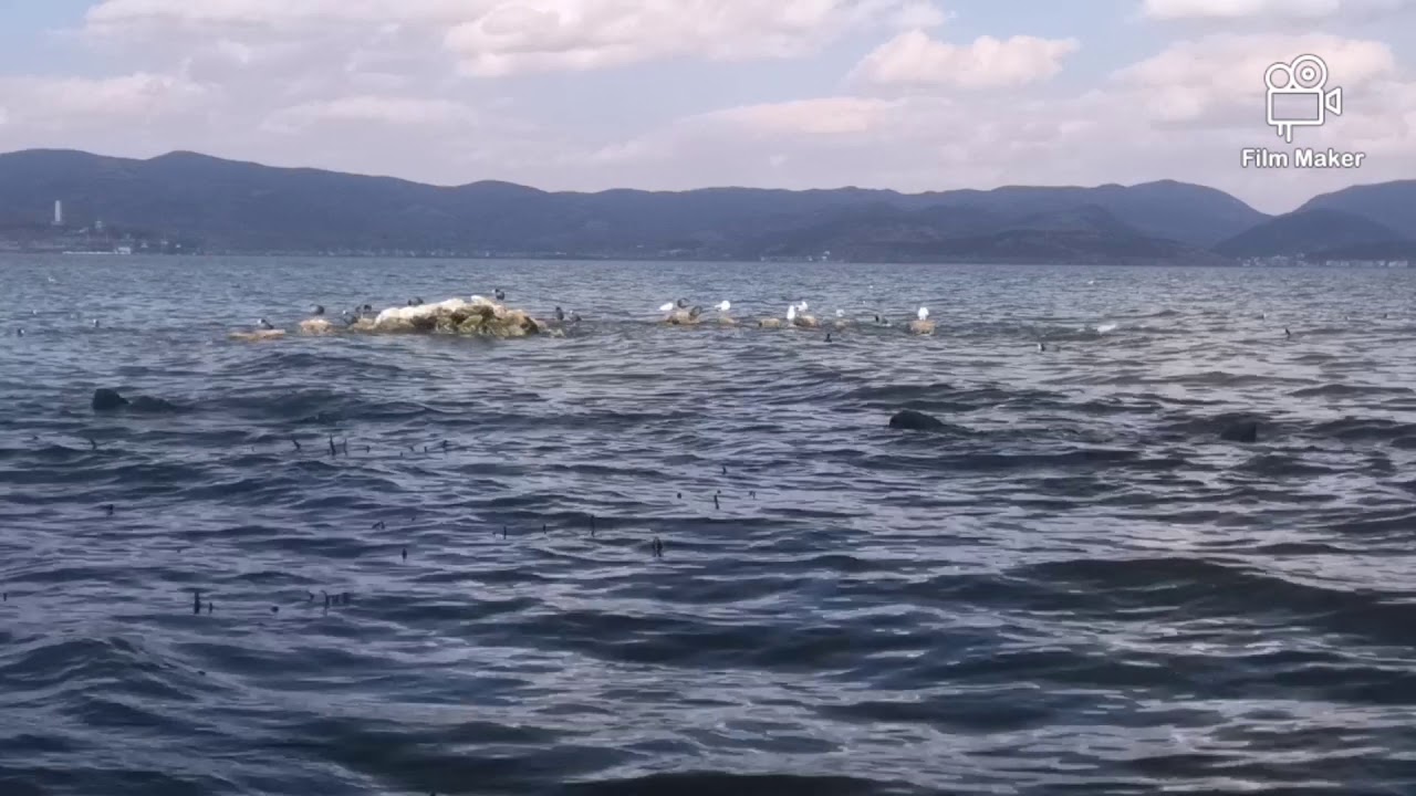 Erhai or Er Lake (Chinese: 洱海; pinyin: Ěrhǎi; literally: 'Ear Sea ...