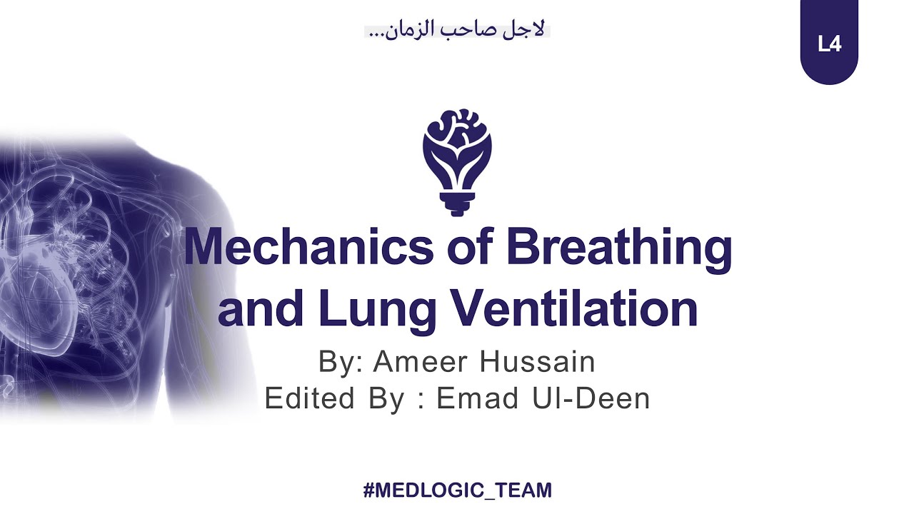 Mechanics of Breathingand Lung Ventilation|P2 & Hypoxia - YouTube