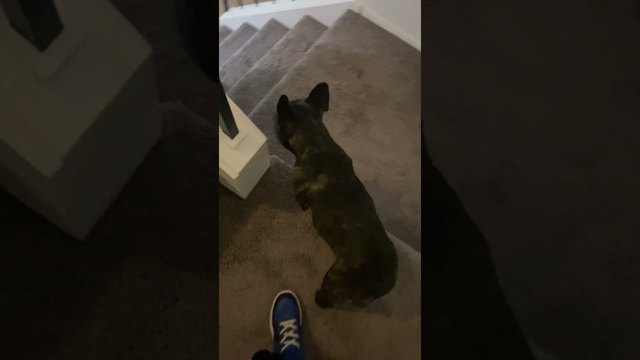 Made ya look - YouTube