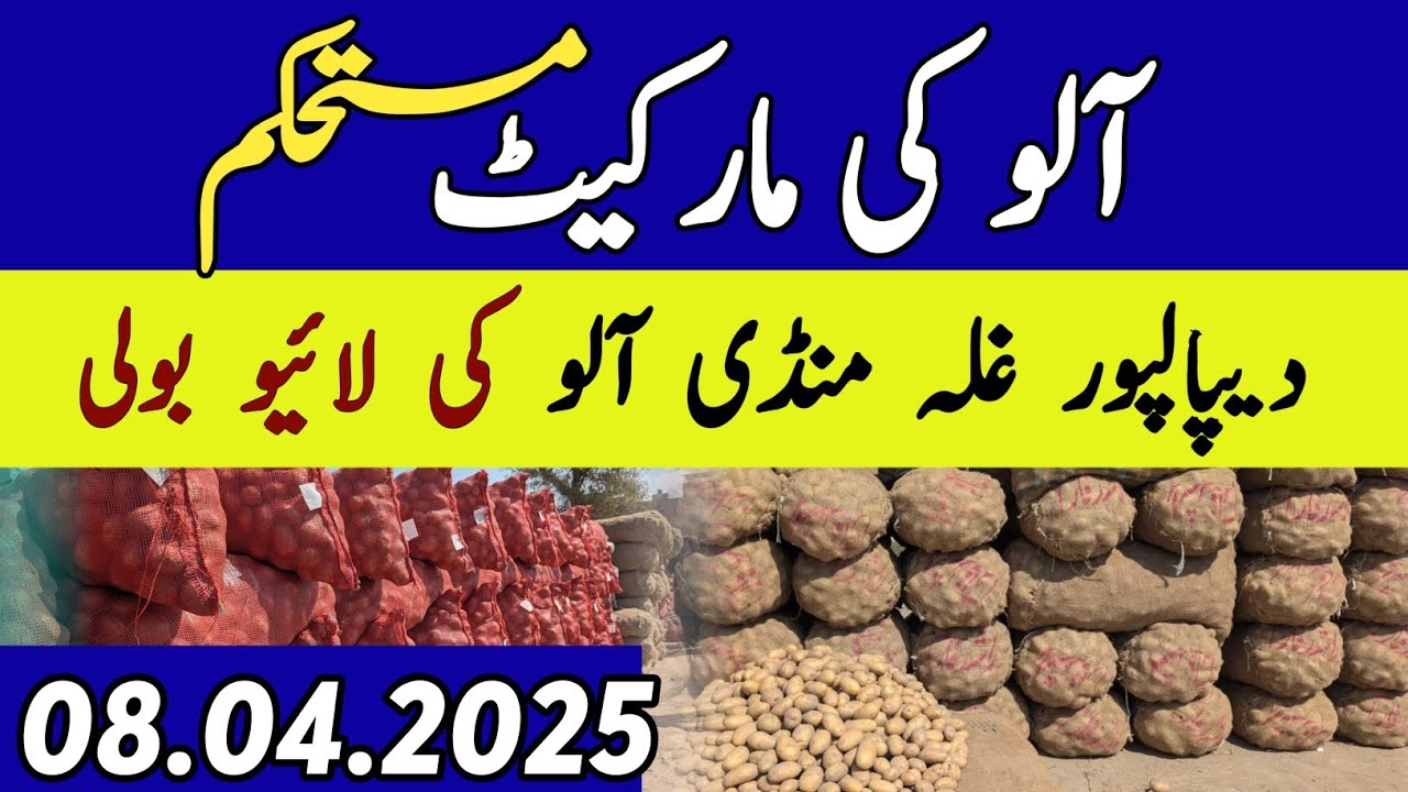 Potato mandi rate today ||aalu mandi rate today okara/08.4.2025#punjab ...