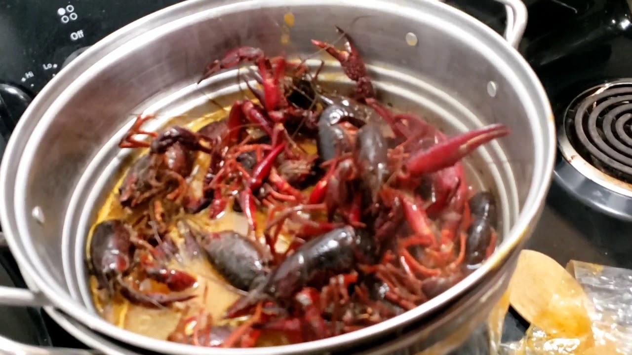 HUSBAND GETS ATTACK BY LIVE CRAWFISH😱|HILARIOUS - YouTube