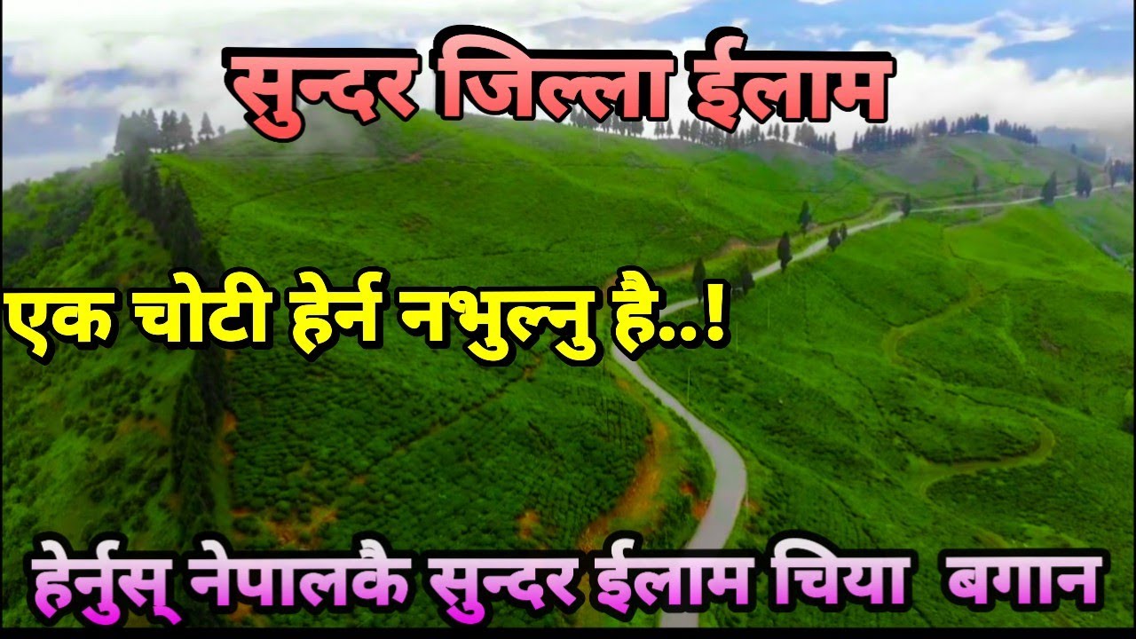 Ilam Chiya Bagan Dron Shut Beautiful View [ हेर्नुस् नेपालकै सुन्दर ...