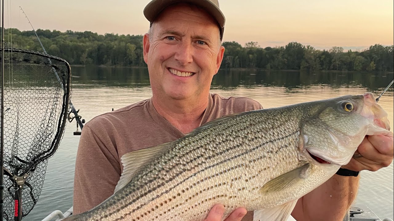 Percy Priest Lake - Hybrid fishing - 4 rods down - YouTube