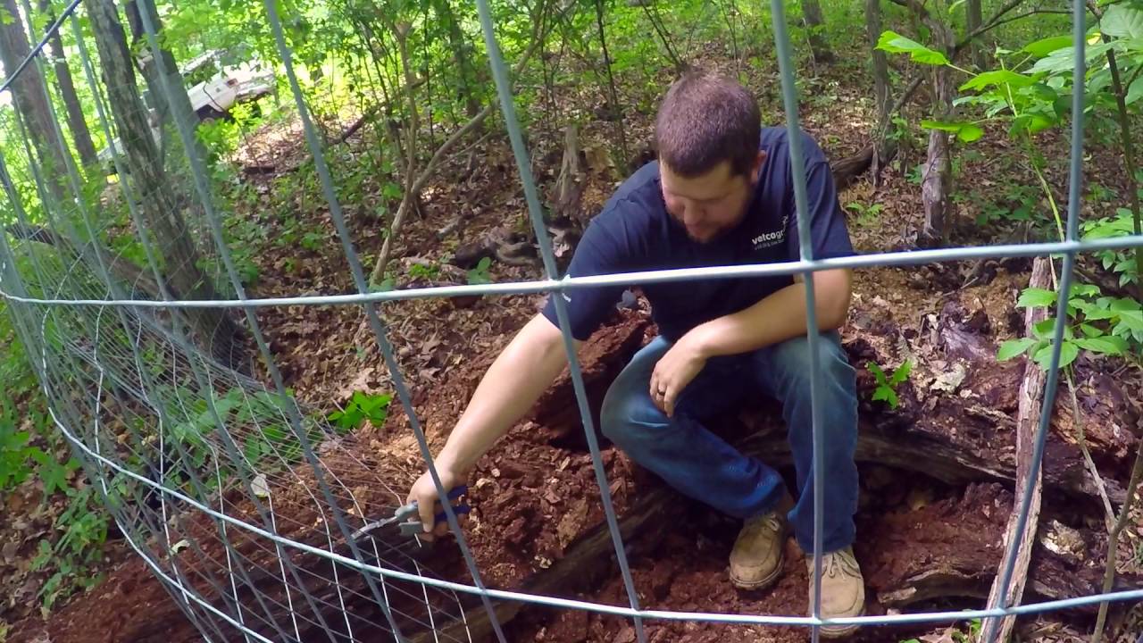 Building Cheap and Simple Dog Fence - YouTube