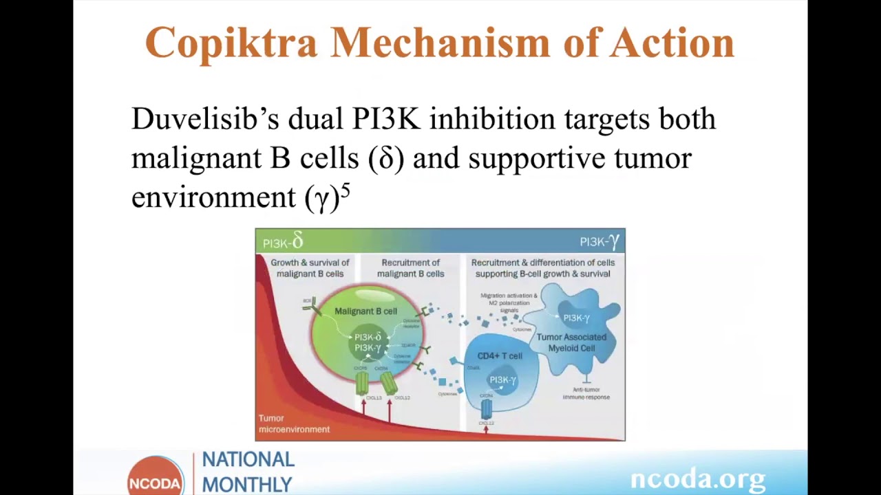CLINICAL CORNER - Copiktra for Relapsed : Refractory CLL : SLL - YouTube